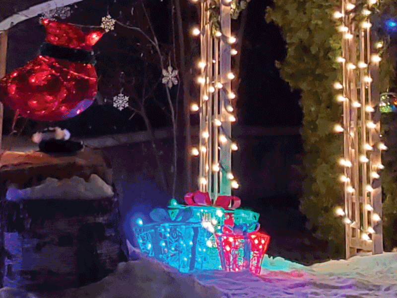 feature-event-holiday – Aspen Gardens Community League